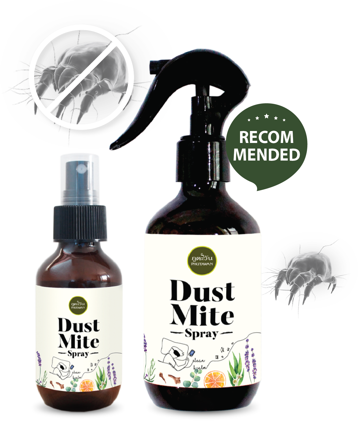 Dust Mite Spray - Phutawan Shop